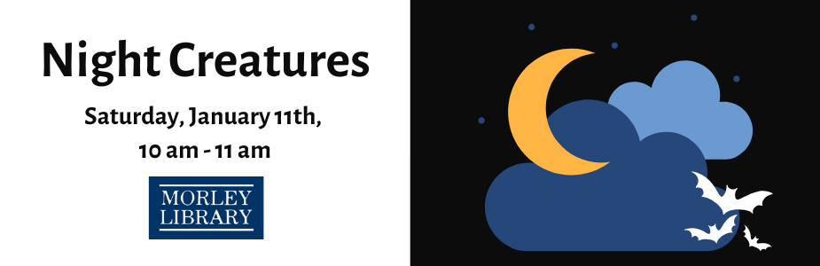 Home | Morley Library